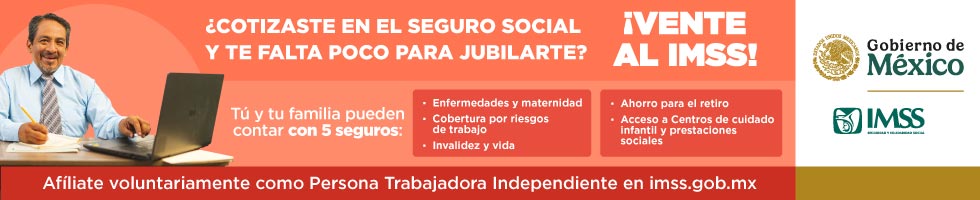 El poder curativo de la Chilchahua, la yerba milagrosa de los Altos de ...