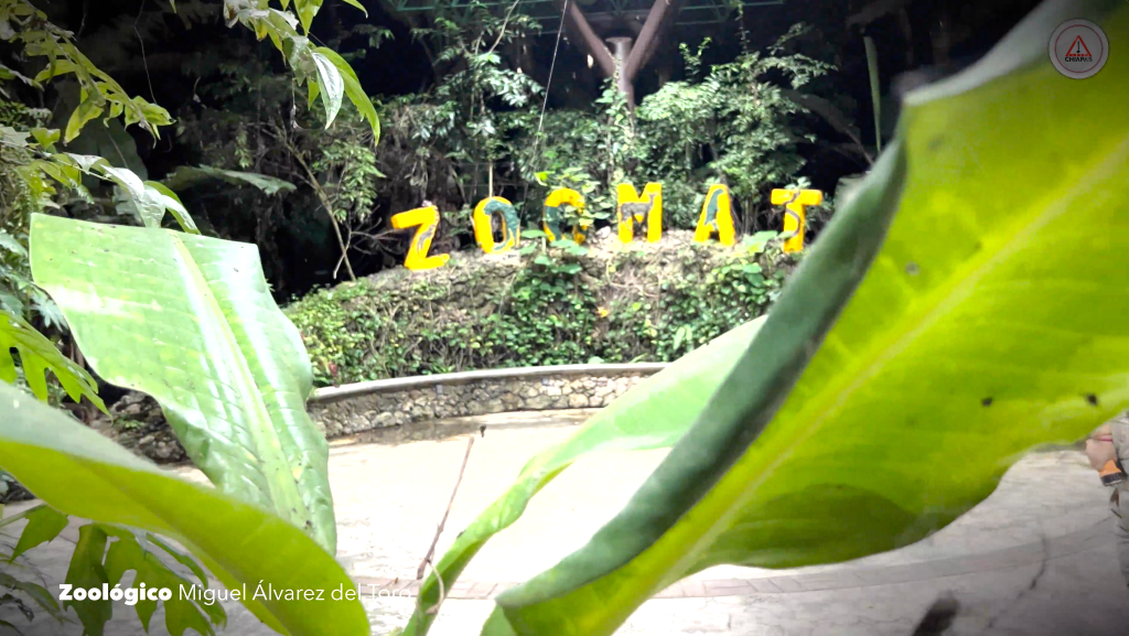 El ZOOMAT, de noche