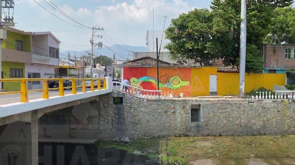 El Sabinal de nueva cuenta cobra vida