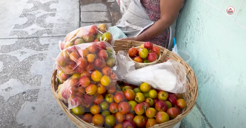 Jocote, jobo o ciruela, ¿tú cómo le dices?