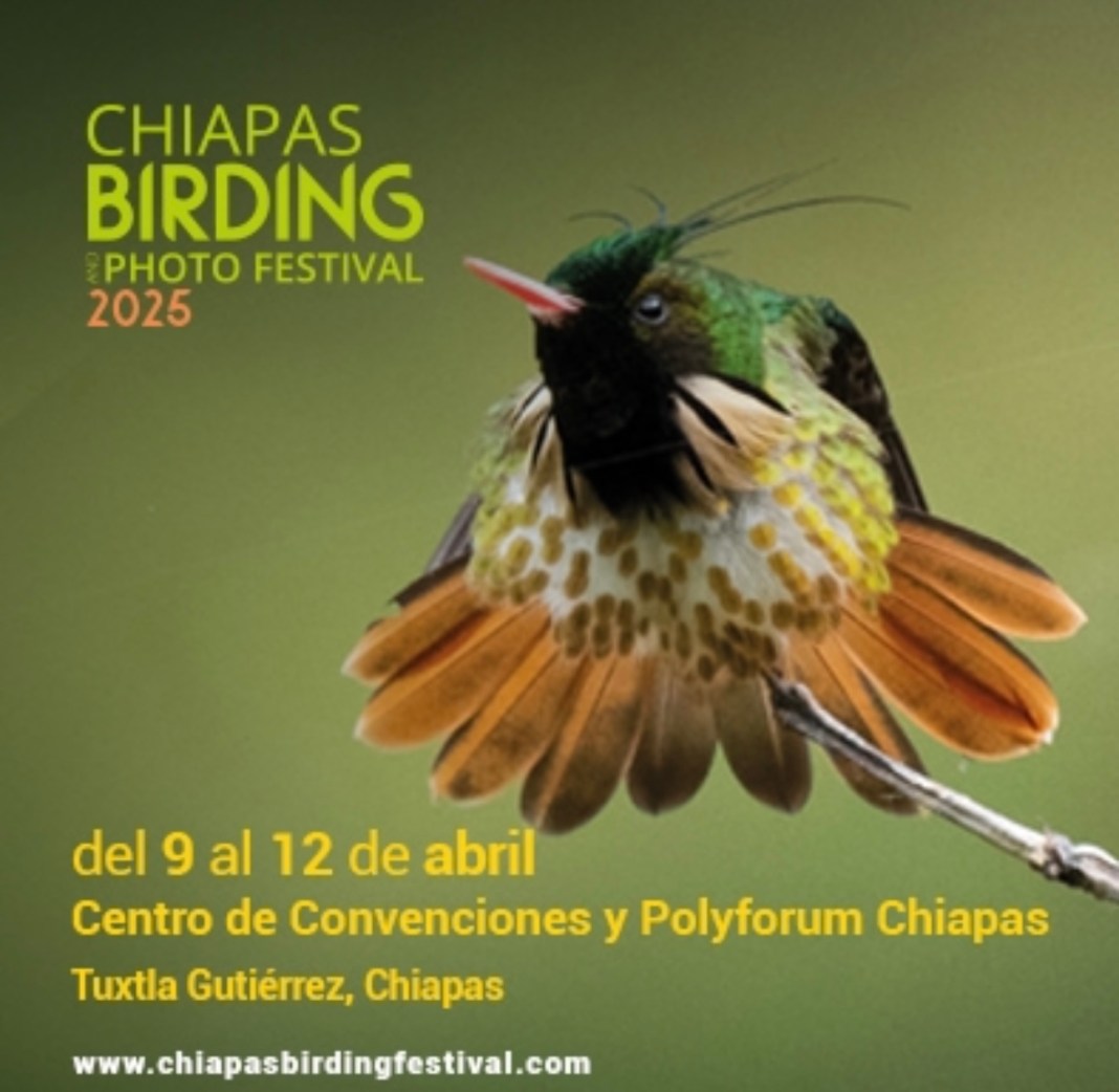 Festival de Foto de Aves Chiapas 2025 - Alerta Chiapas