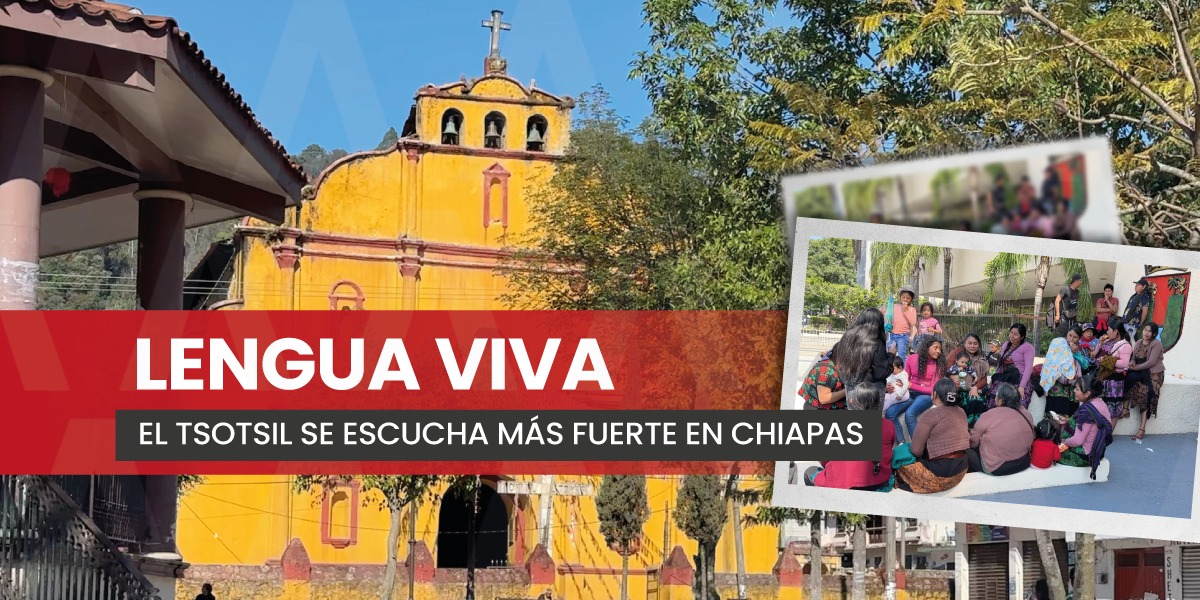 Tsotsil: La lengua indígena de Chiapas que crece - Alerta Chiapas