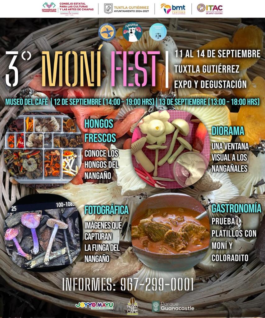 ¡3er Moni Fest en Tuxtla! Un festival para conocer y degustar los ...